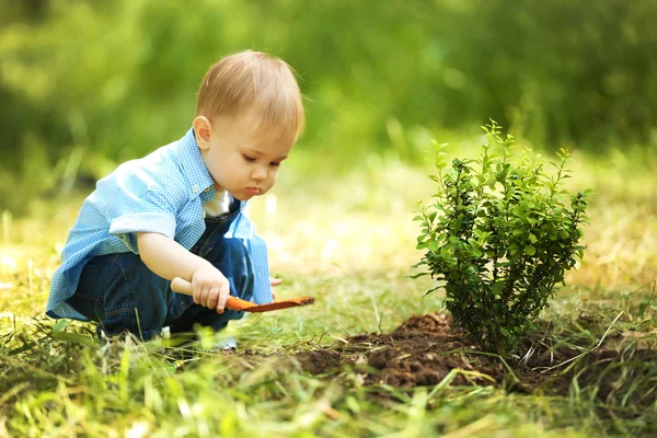 Baby planting tree Stock Photos, Royalty Free Baby planting tree Images ...