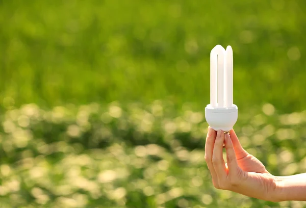 Female hand holding light bulb - Stock Image - Everypixel