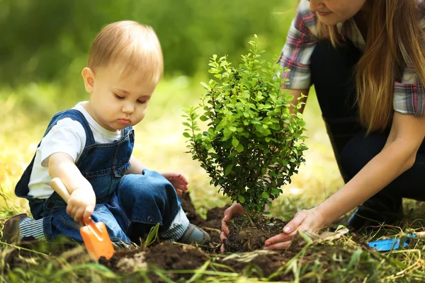Baby planting tree Stock Photos, Royalty Free Baby planting tree Images ...