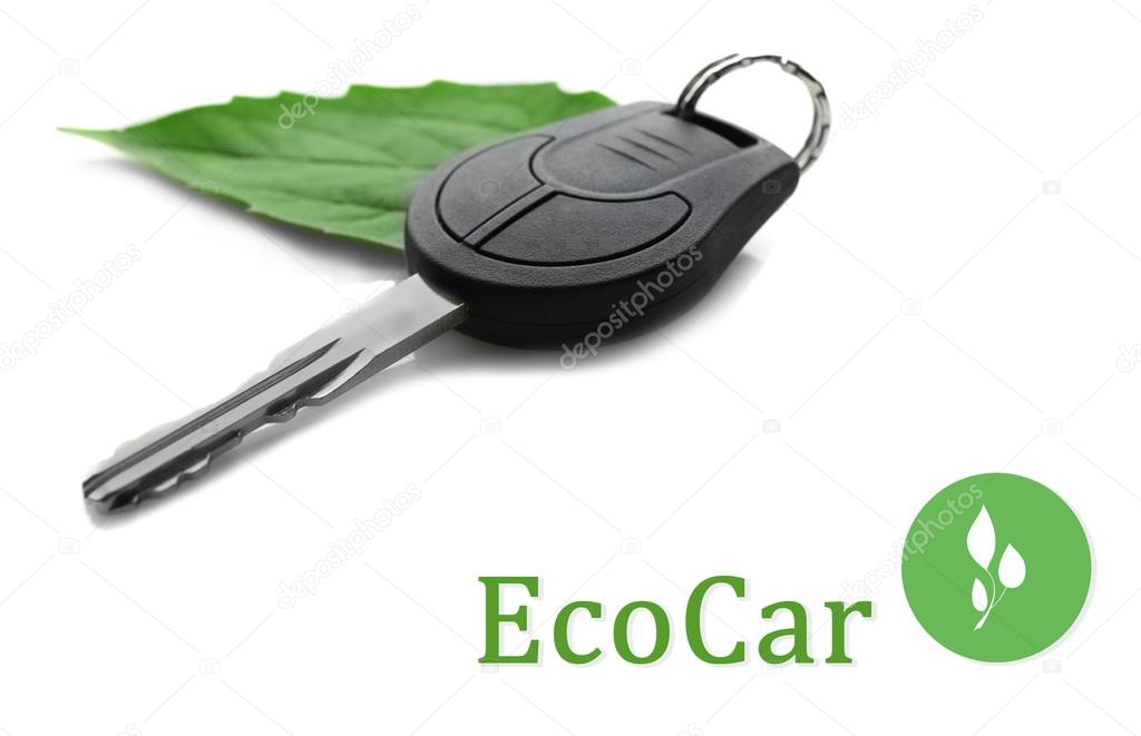 Car key with green leaf trinket Stock Photo by ©belchonock 120317364