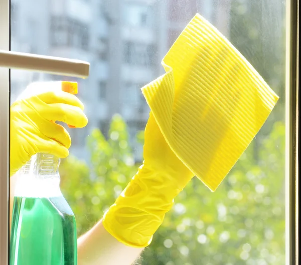 Cleaning windows with rag - Stock Image - Everypixel