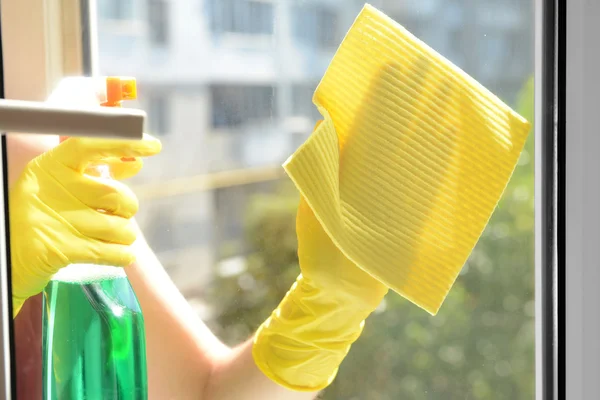 Cleaning windows with special rag and cleaner - Stock Image - Everypixel