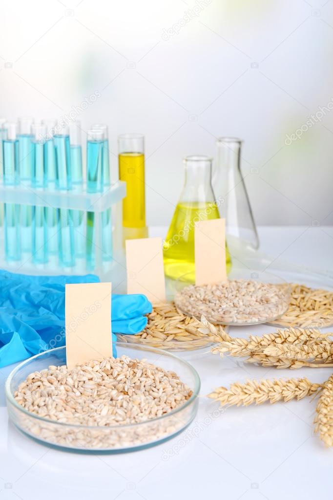 Microbiological testing for food quality Stock Photo by ©belchonock ... Microbiological testing for food quality Stock Photo by ©belchonock ...