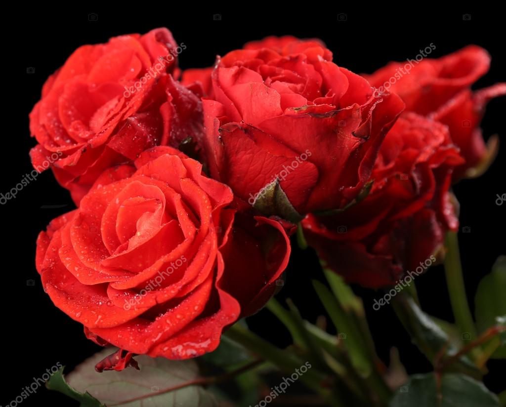 Bouquet of beautiful roses Stock Photo by ©belchonock 53288743