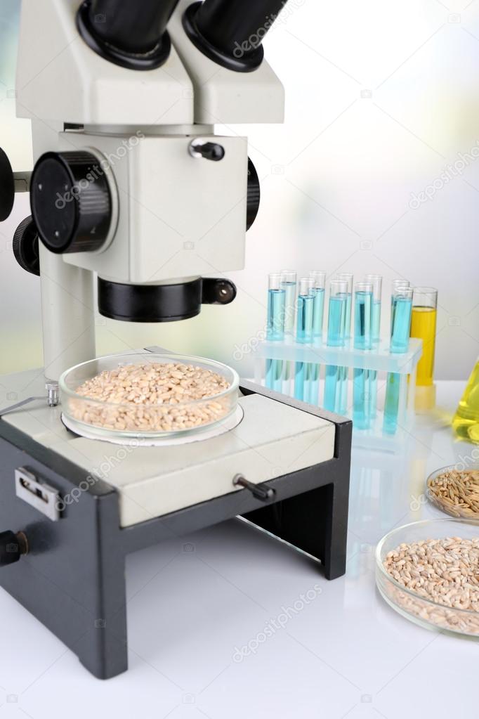 Microbiological testing for food quality at biochemistry laboratory ...