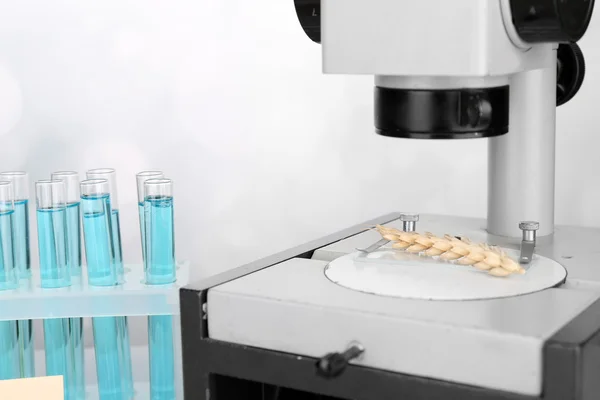 Microbiological testing for food quality at biochemistry laboratory ...