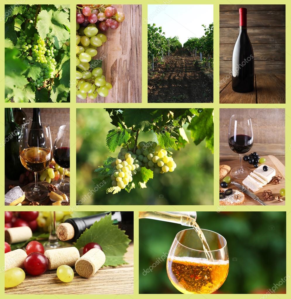 Wine collage Stock Photo by ©belchonock 54273509