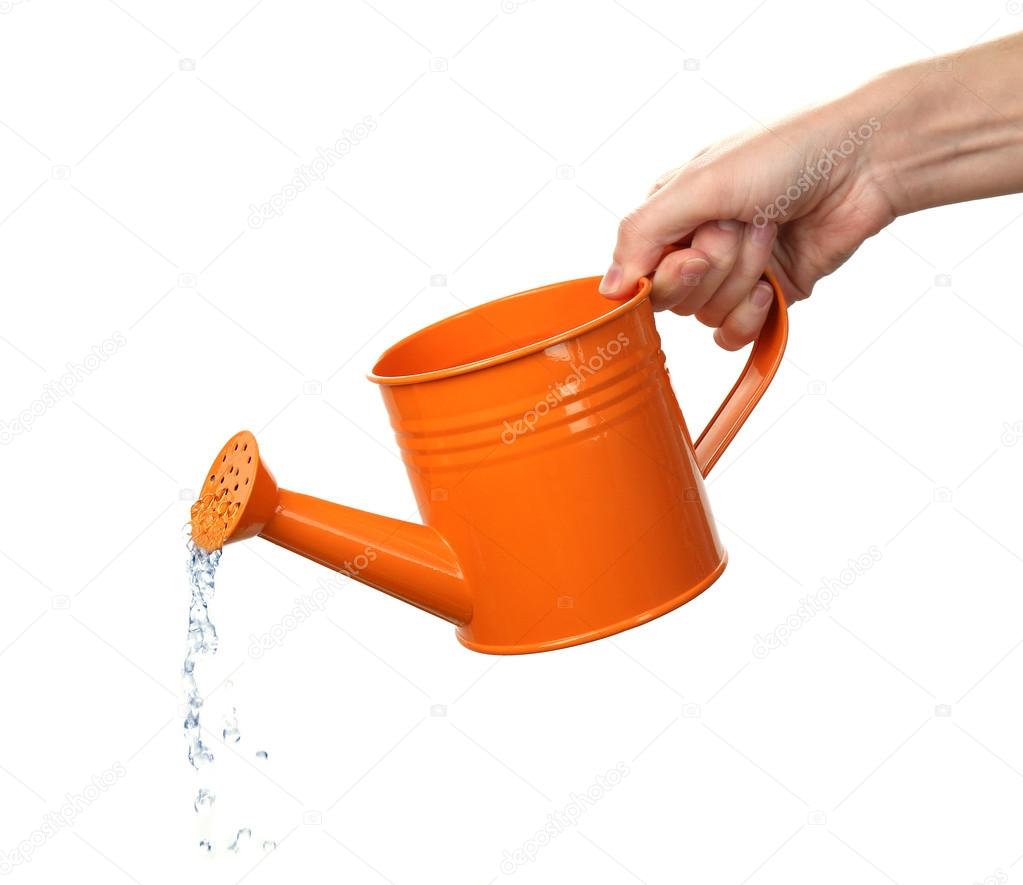 Water pouring from watering can isolated on white Stock Photo by ...