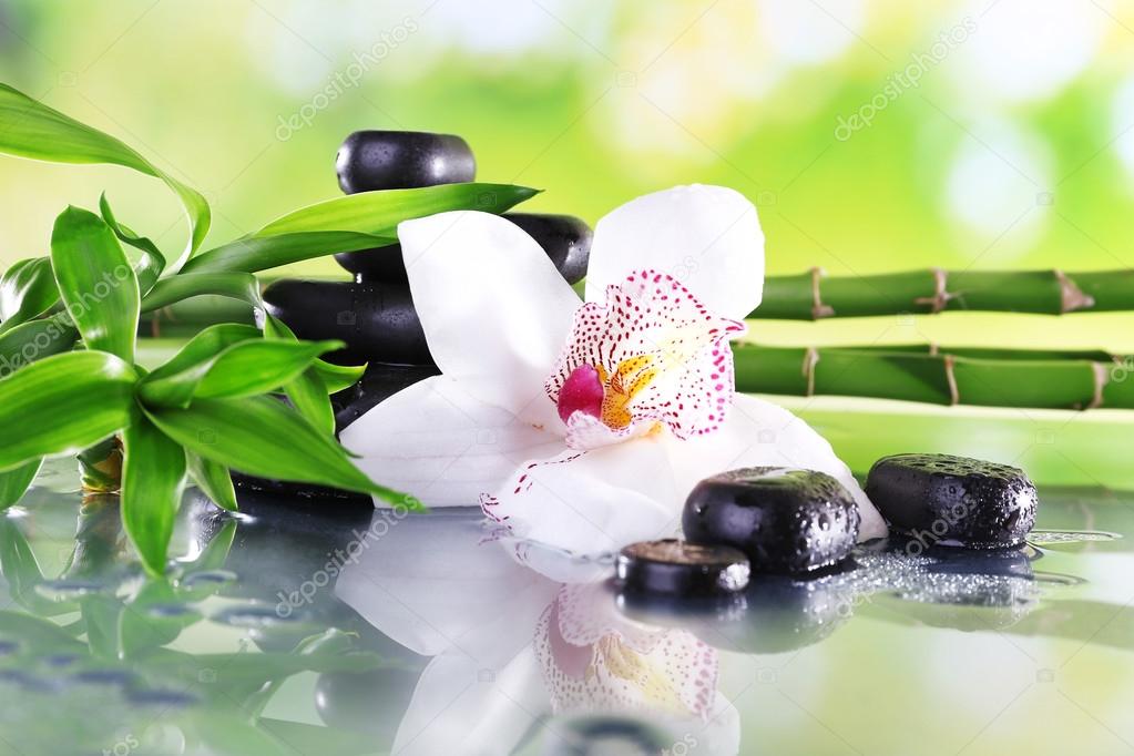 Spa stones and bamboo branches — Stock Photo © belchonock #54859003