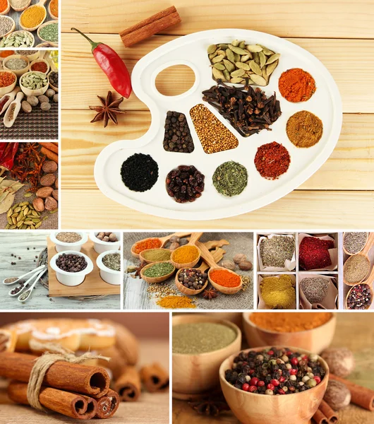 Collage of different spices Stock Photo by ©belchonock 56213229
