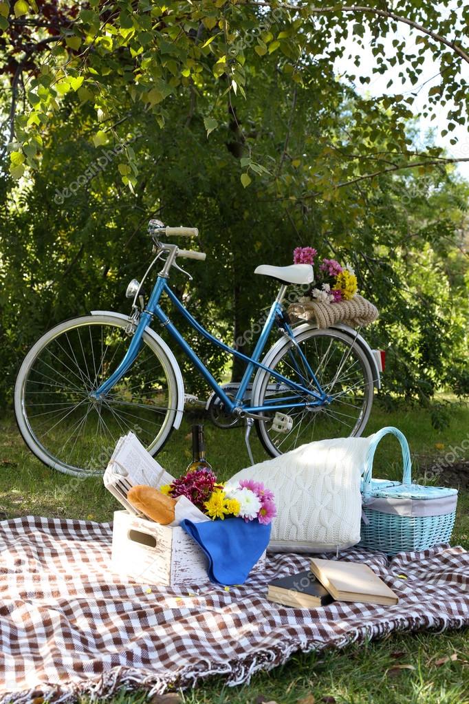 Old bicycle and picnic snack on checkered blanket on grass in park ...
