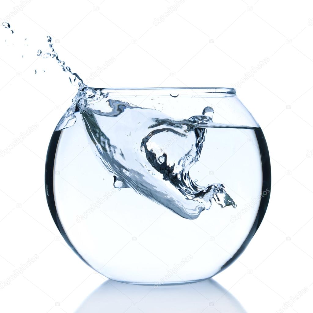 Fish Bowl Without Fish With Water