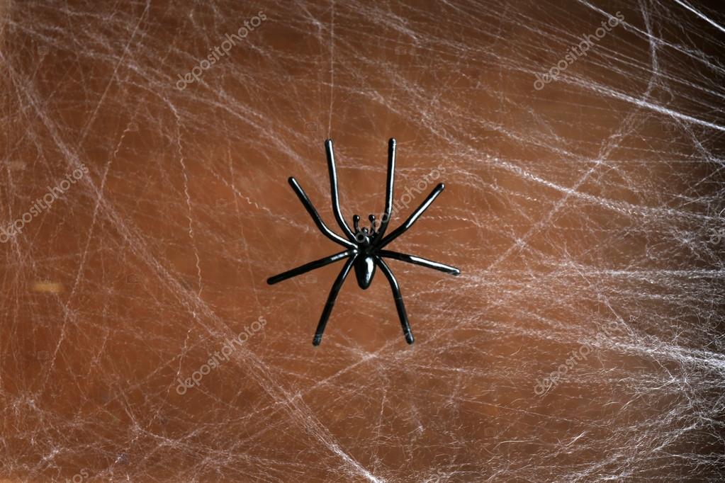 Cobweb with spider — Stock Photo © belchonock #57613465
