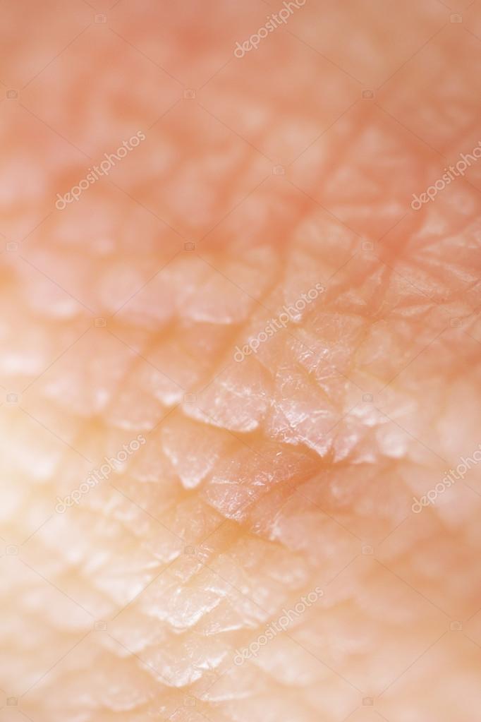 Human skin close up Stock Photo by ©belchonock 60867069