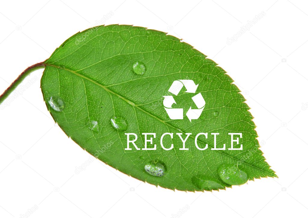 Recycle symbol on green leaf, recycling concept — Stock Photo ...