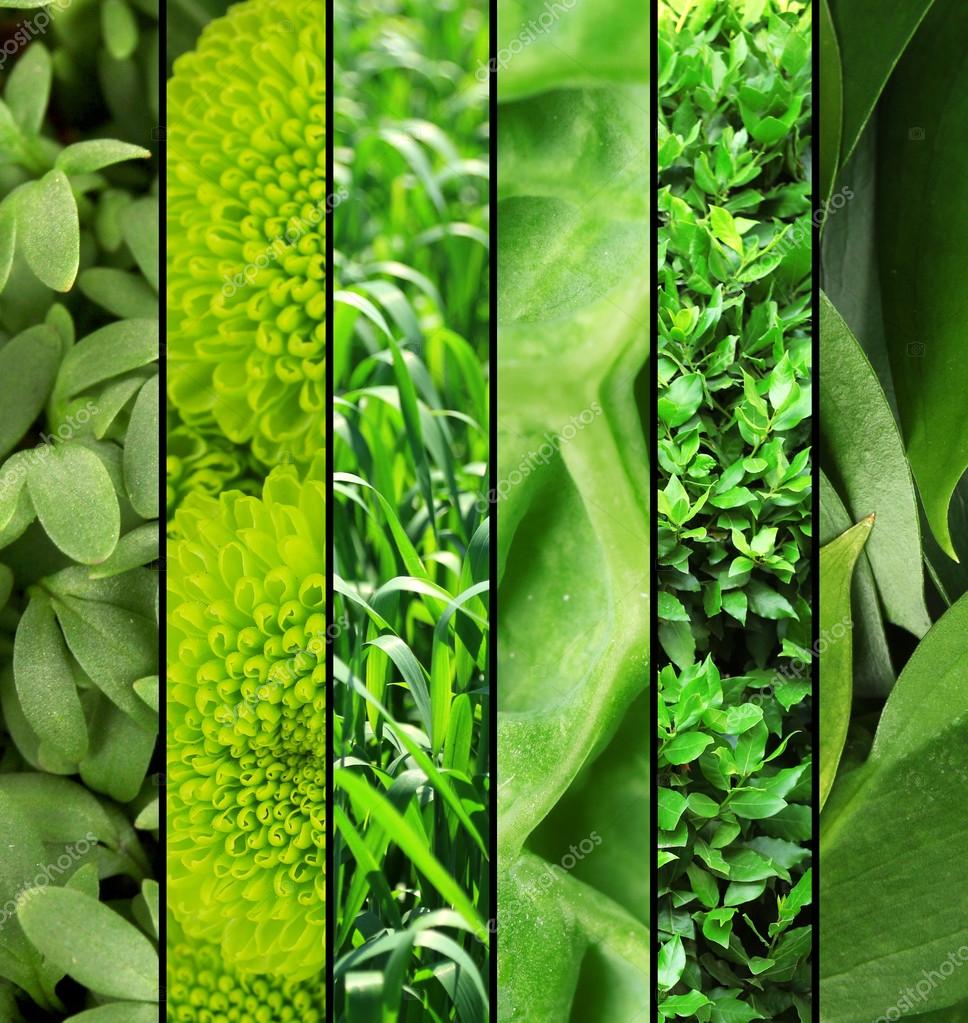 Green color samples — Stock Photo © belchonock #62833757