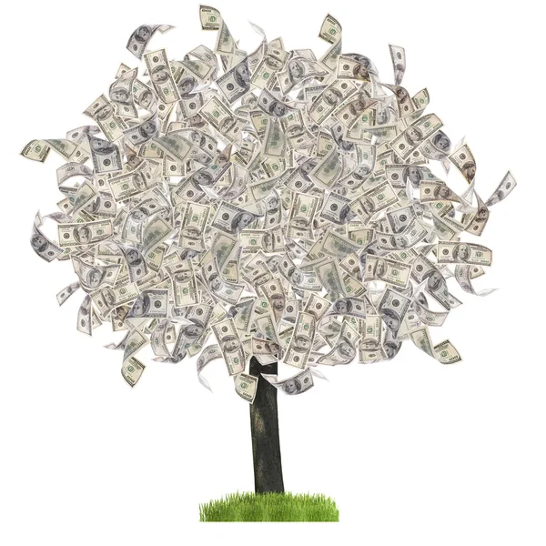 Money tree Stock Photos, Royalty Free Money tree Images | Depositphotos