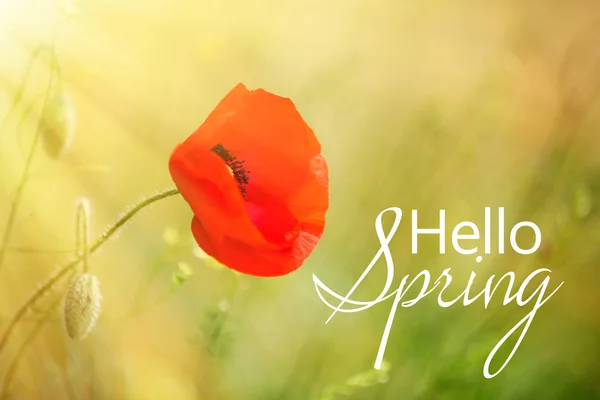 Spring equinox Stock Photos, Royalty Free Spring equinox Images ...