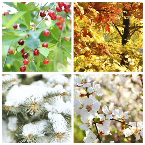 Seasons collage Stock Photos, Royalty Free Seasons collage Images ...