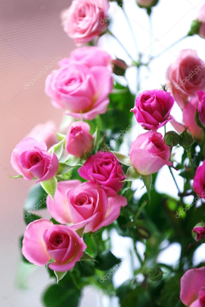 Beautiful pink roses on bright background — Stock Photo © belchonock ...