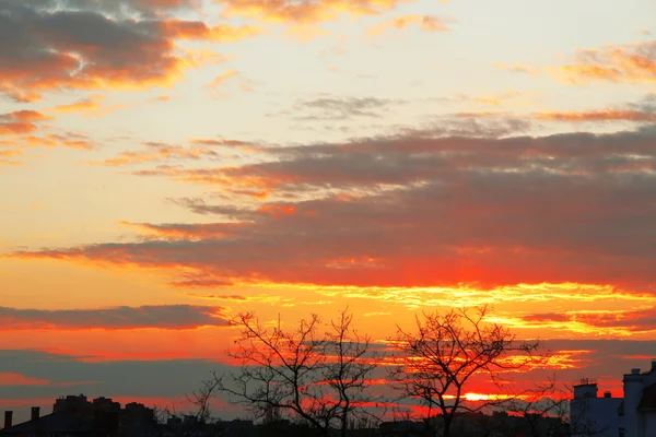 Bronx sunset Stock Photos, Royalty Free Bronx sunset Images | Depositphotos