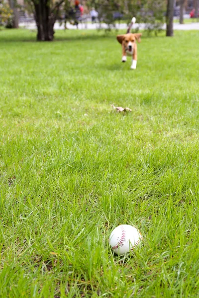 Small ball Images - Search Images on Everypixel