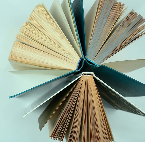 Reference books Stock Photos, Royalty Free Reference books Images ...