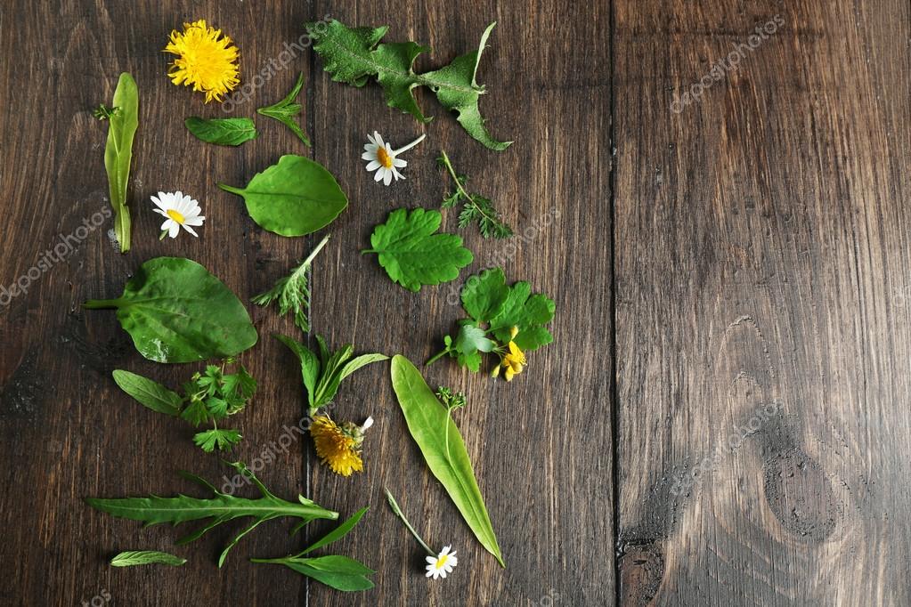 Herbal Plants Wallpaper