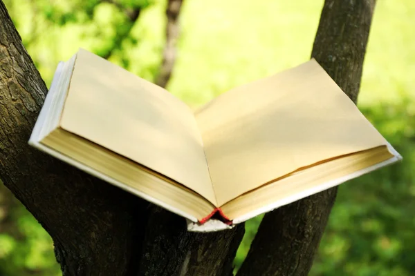 Book with tree Stock Photos, Royalty Free Book with tree Images ...