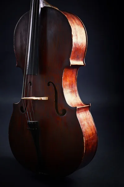 Orchestra cello Stock Photos, Royalty Free Orchestra cello Images ...