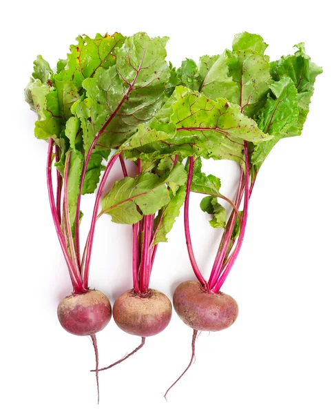 Beets Pictures, Beets Stock Photos & Images | Depositphotos®