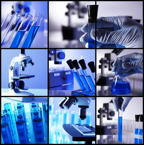 Collage of scientific elements in laboratory — Stock Photo © belchonock ...