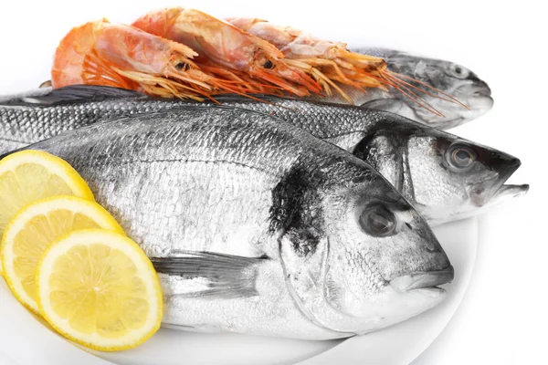 Fresh fish and other seafood isolated on white — Stock Photo ...