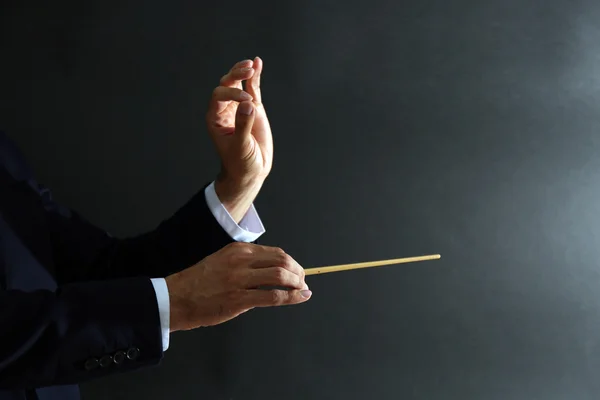 Orchestra Conductor Hands