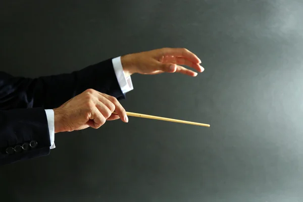 Symphony Conductor Stick