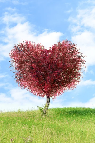 Tree heart Stock Photos, Royalty Free Tree heart Images | Depositphotos