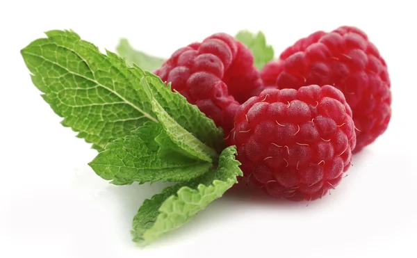 Raspberry pi programme Stock Photos, Royalty Free Raspberry pi ...