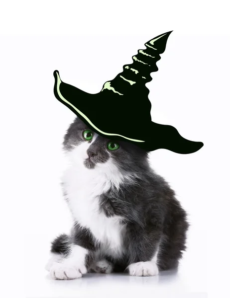 Scary Cat Wearing Witch Hat Stock Photo by ©adogslifephoto 65838119