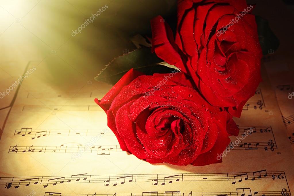 Beautiful red roses on music sheets, closeup — Stock Photo © belchonock ...