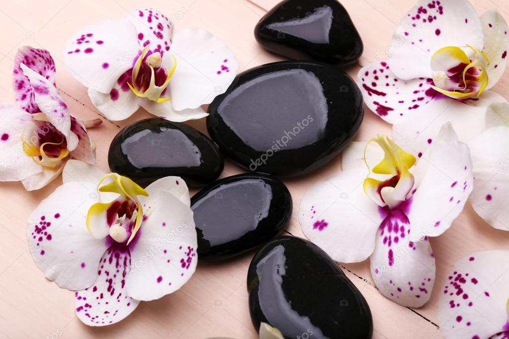 Orchids and zen stones Stock Photo by ©belchonock 84405920