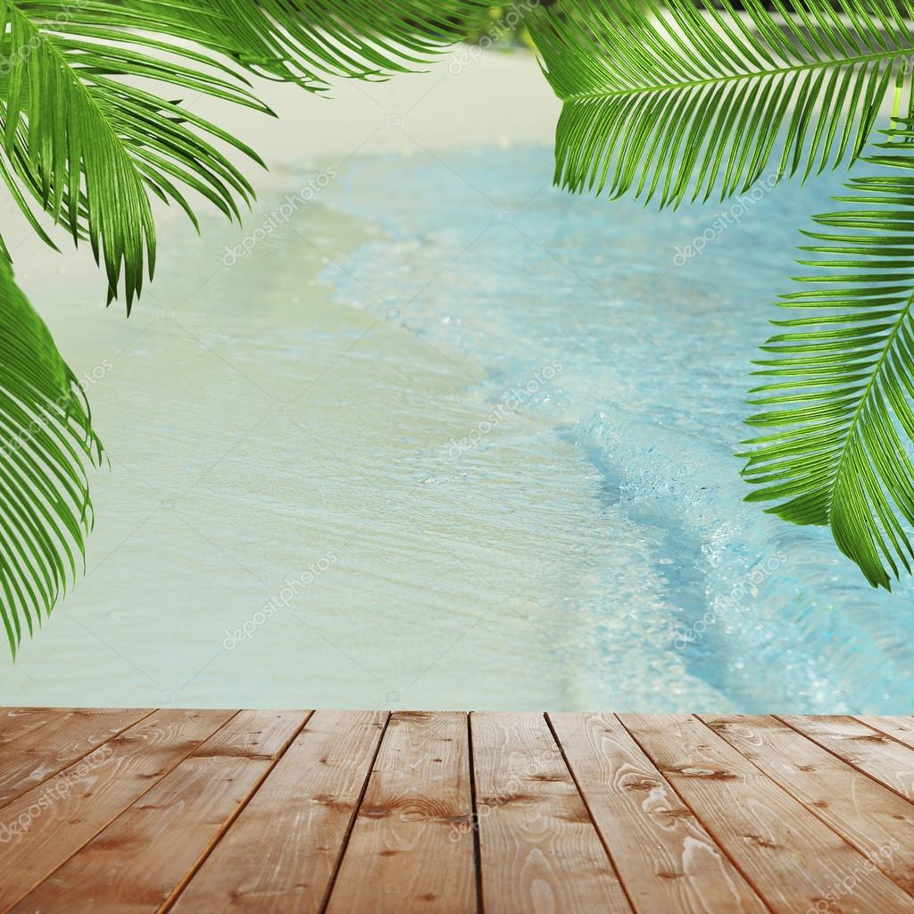 Tropical Paradise Background