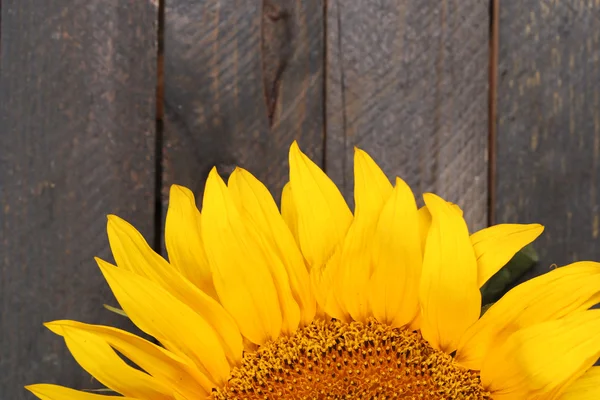 Rustic sunflower background Stock Photos, Royalty Free Rustic sunflower ...