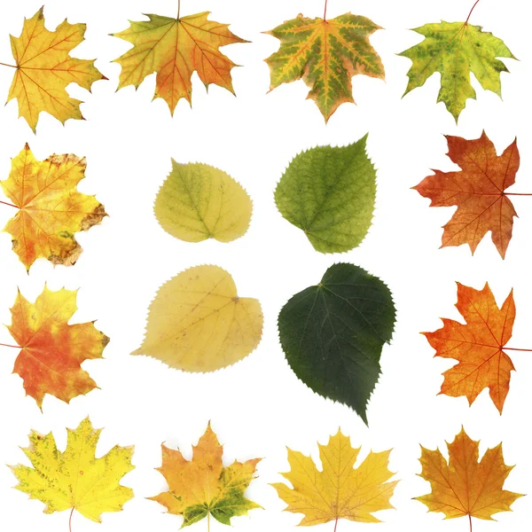 Background with falling autumn leaves. Stock Photo by ©BalaguR 169420062