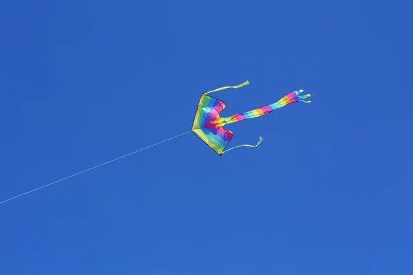 Kite in dark blue sky Stock Photo by ©belchonock 95304208
