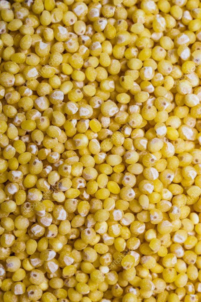 Millet groats as food background Stock Photo by ©Anetlanda 81289680