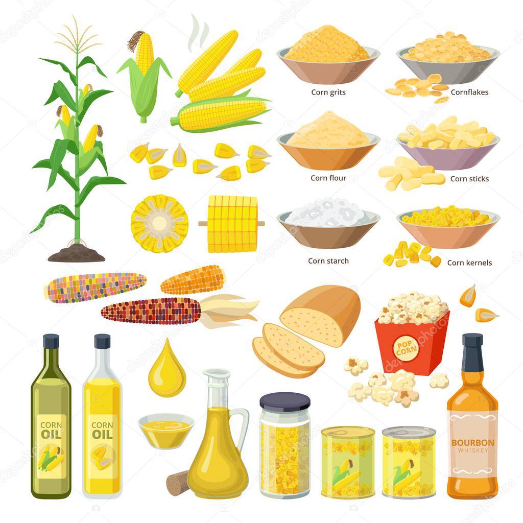 Alimentos de maíz, conjunto de harina de maíz, aceite de maíz, palitos ...