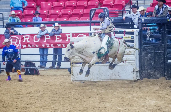Indian national finals rodeo - Stock Image - Everypixel