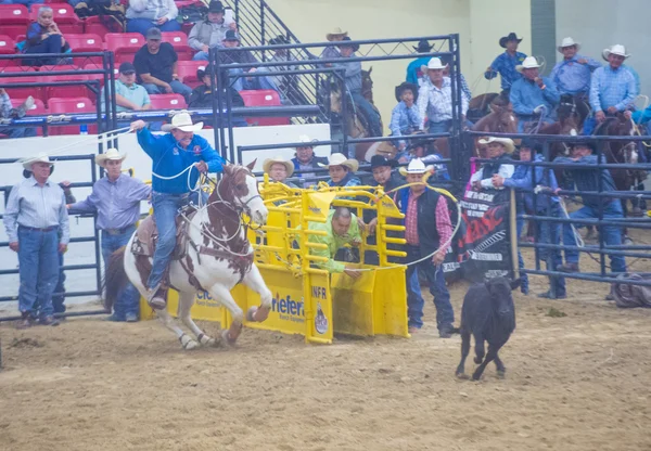 Indian national finals rodeo - Stock Image - Everypixel