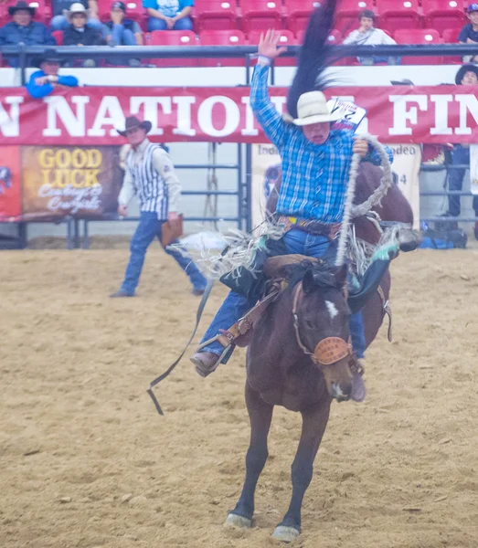 Indian national finals rodeo - Stock Image - Everypixel