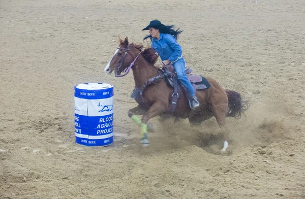 Indian national finals rodeo - Stock Image - Everypixel